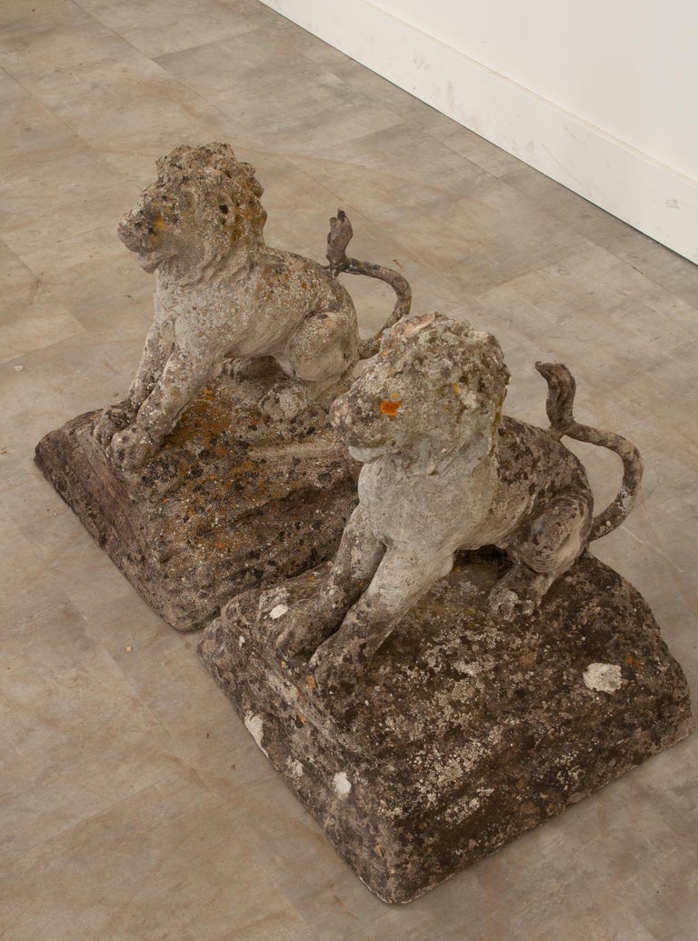English 19th Century Pair of Stone Lions For Sale at 1stDibs
