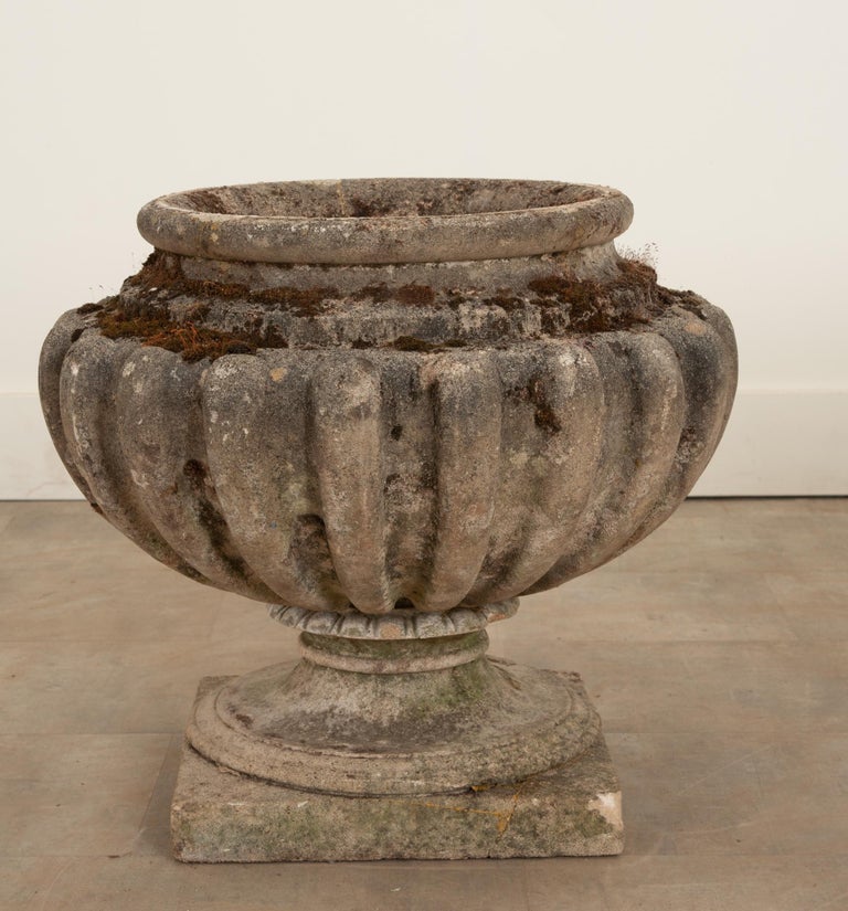 English 19th Century Pair of Stone Planters For Sale at 1stDibs