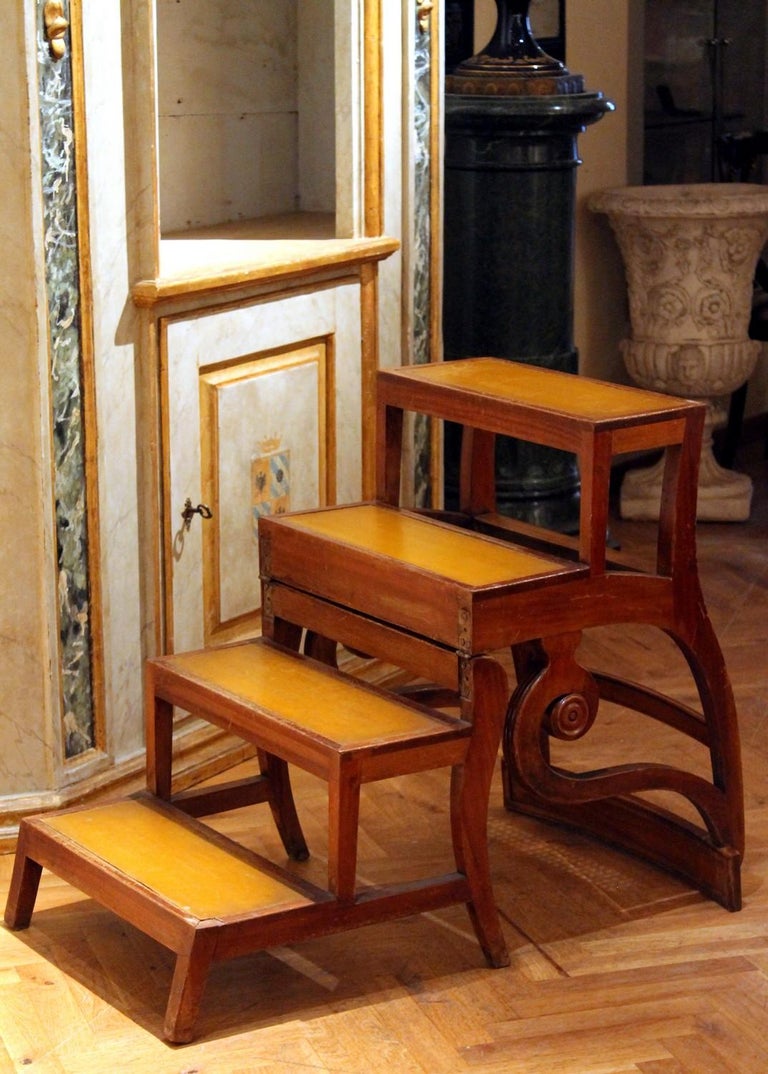English 19th Century Regency Mahogany Library Steps Ladder Metamorphic ...