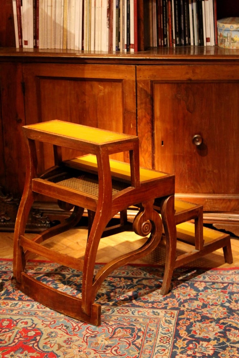 English 19th Century Regency Mahogany Library Steps Ladder Metamorphic ...