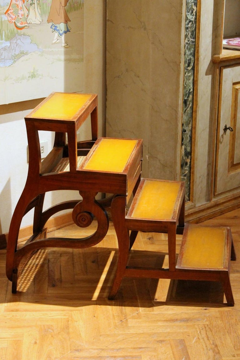 English 19th Century Regency Mahogany Library Steps Ladder Metamorphic ...