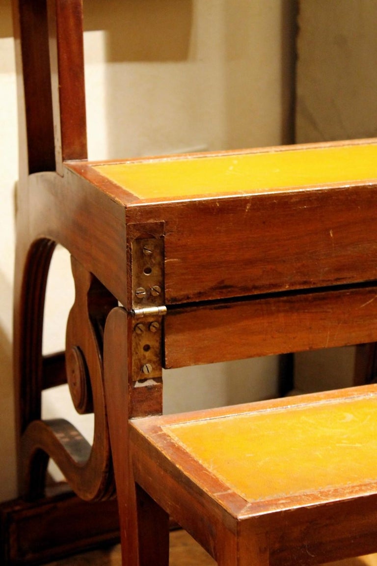 English 19th Century Regency Mahogany Library Steps Ladder Metamorphic ...