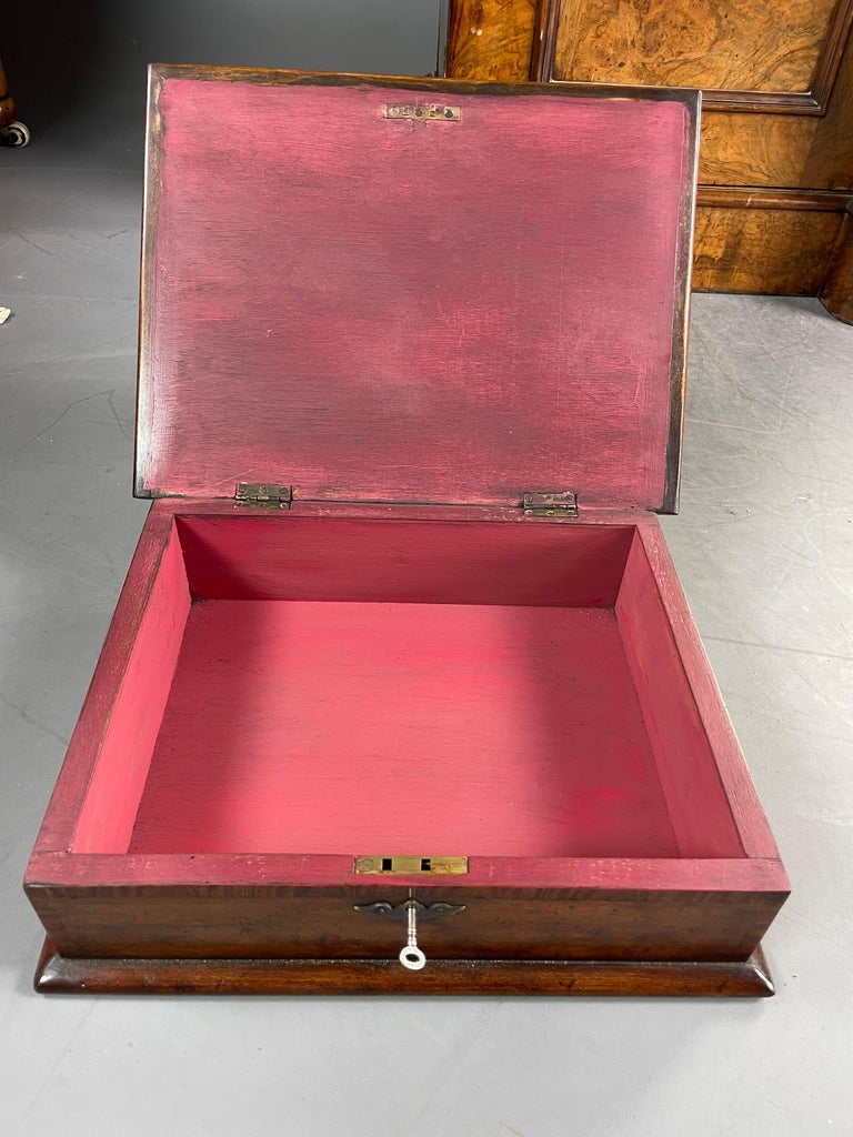 English Antique Burr Maple and Tulip Lace Box For Sale at 1stDibs