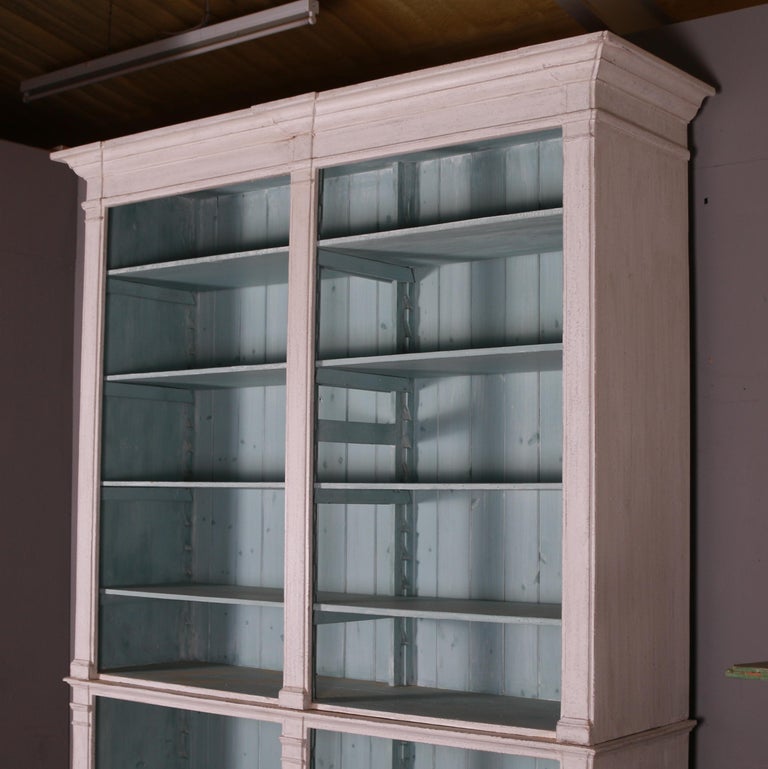 English Architectural Shop Fitting / Bookcase For Sale at 1stDibs