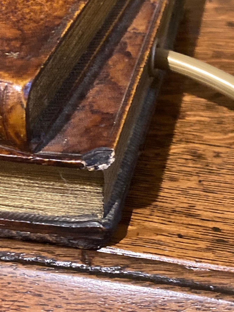 Antique English Bibliophile Book Lamp, Late 19th Century For Sale at ...