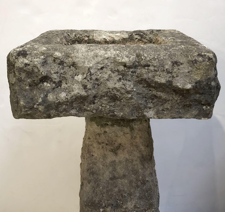 English Carved Garden Stone Bird Bath at 1stDibs