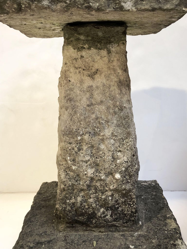 English Carved Garden Stone Bird Bath at 1stDibs