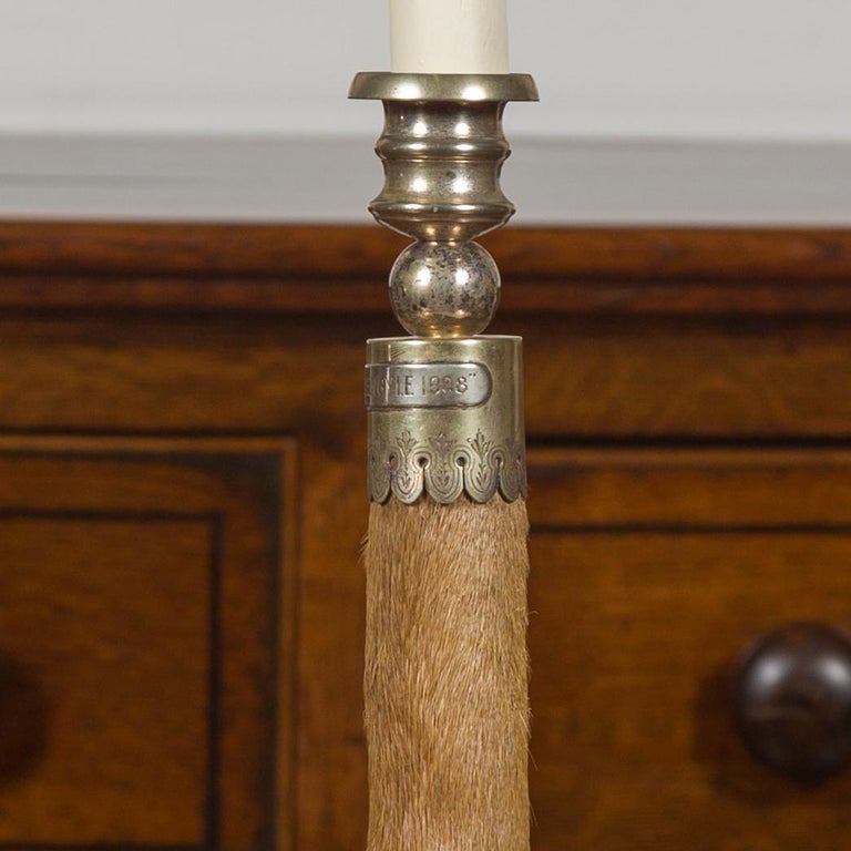 English Deer Leg Wired Table Lamp Dated 1908, Mounted on a Circular ...