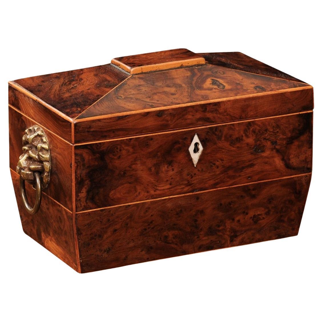 English Early 19th Century Regency Yew Wood Tea Caddy with String Inlay ...