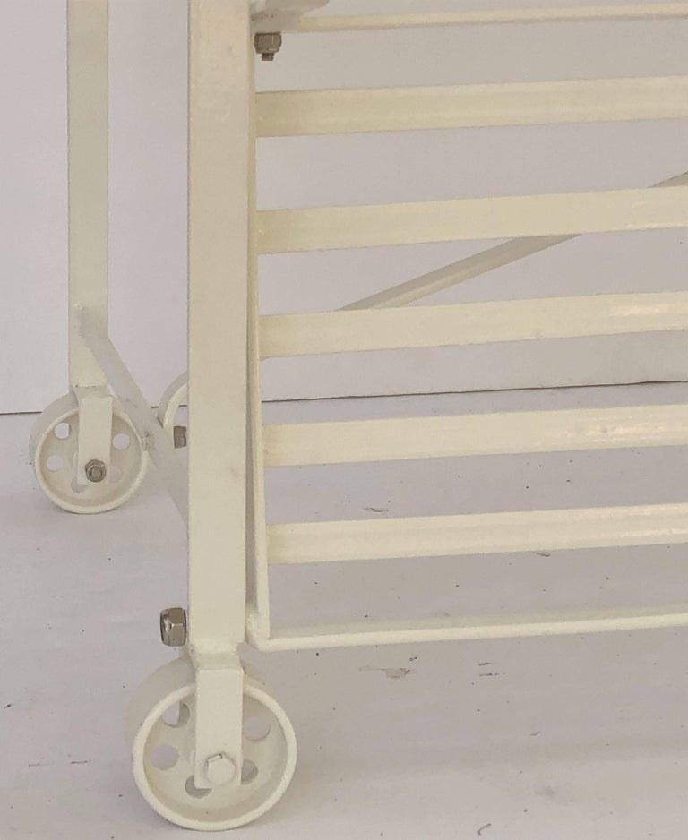 English Garden Bench or Seat with Fold-Down Foot Step of Painted Iron ...