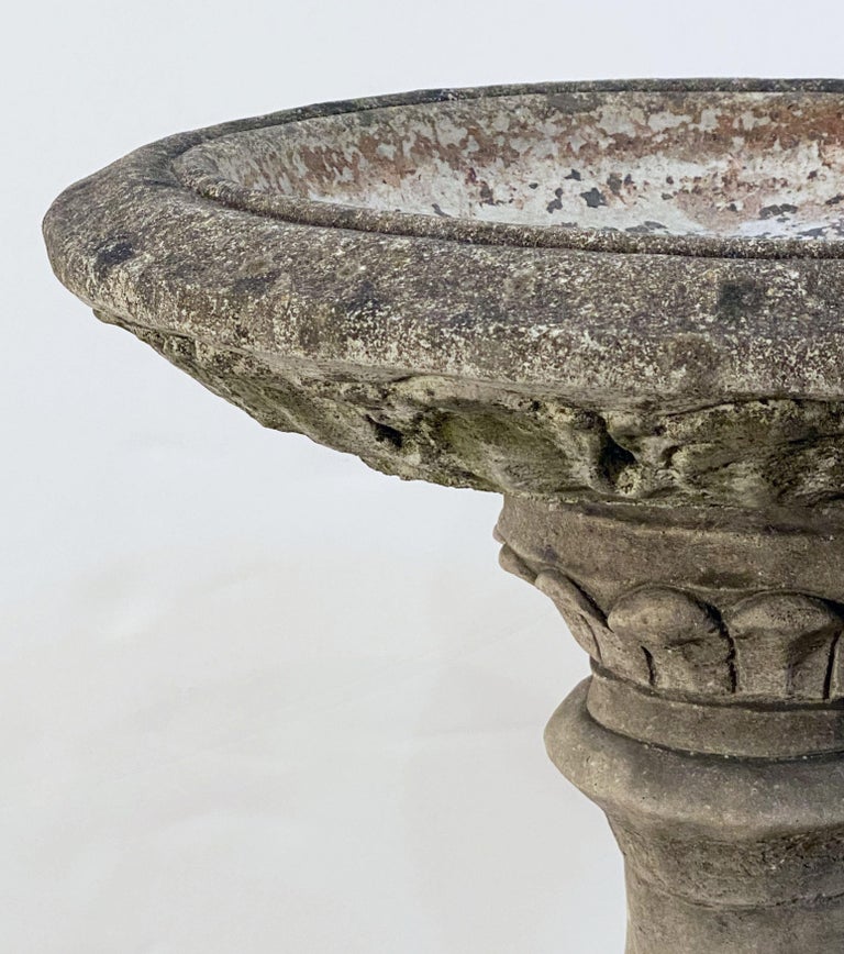 English Garden Stone Bird Bath on Classical Baluster Pedestal Plinth at ...
