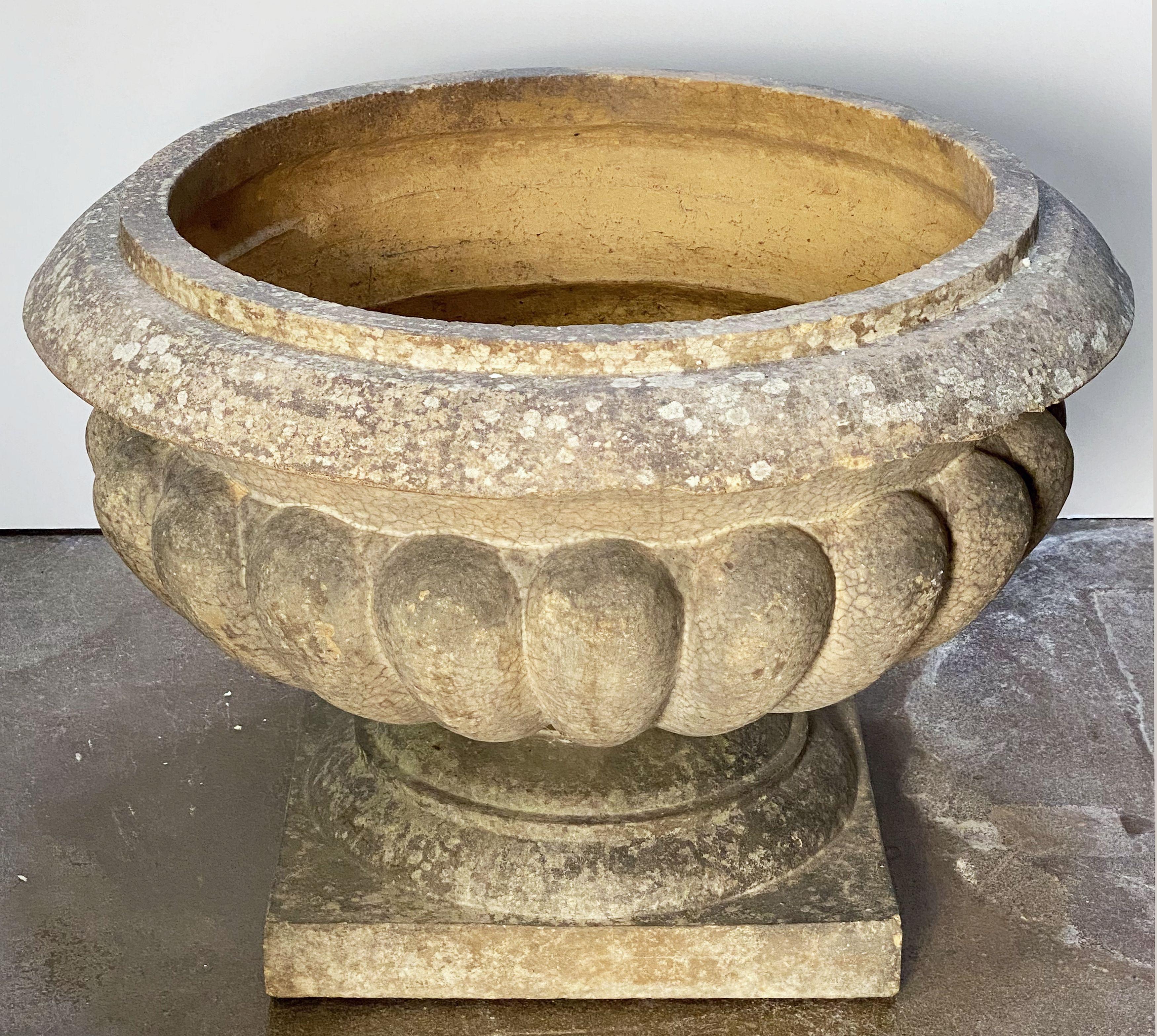 English Garden Urn or Planter Pot on Low Pedestal of Terracotta For ...