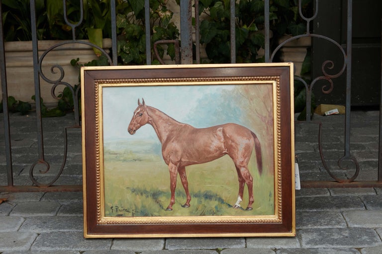 English George Paice 1912 Oil on Canvas Painting of Horse with Single ...