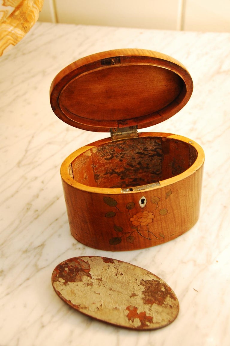English Georgian 18th Century Oval Satinwood Tea Caddy with Floral ...