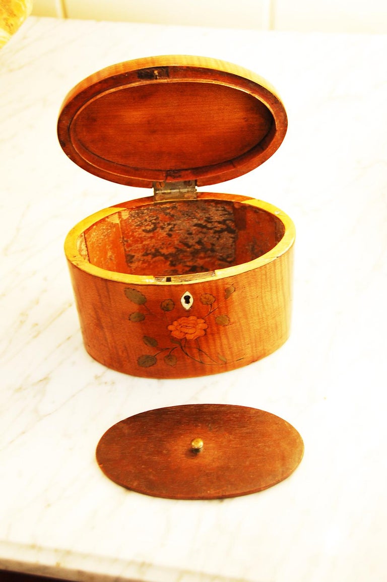English Georgian 18th Century Oval Satinwood Tea Caddy with Floral ...
