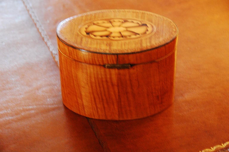 English Georgian 18th Century Oval Satinwood Tea Caddy with Floral ...