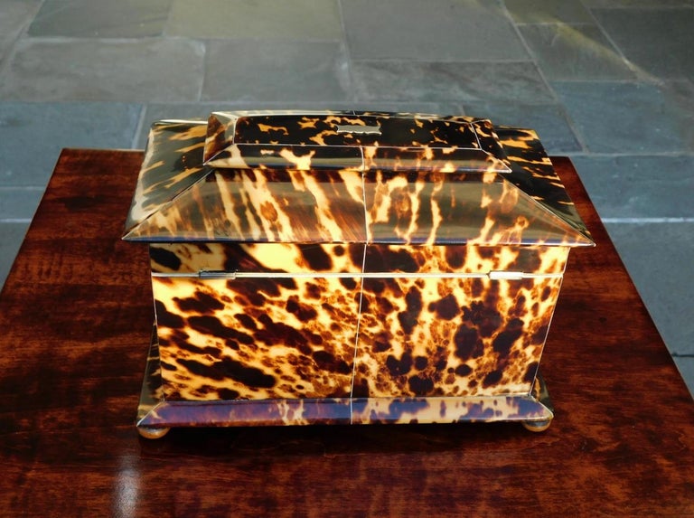 English Georgian Chinroserie Tortoise Shell Tea Caddy with Ball Feet, C ...