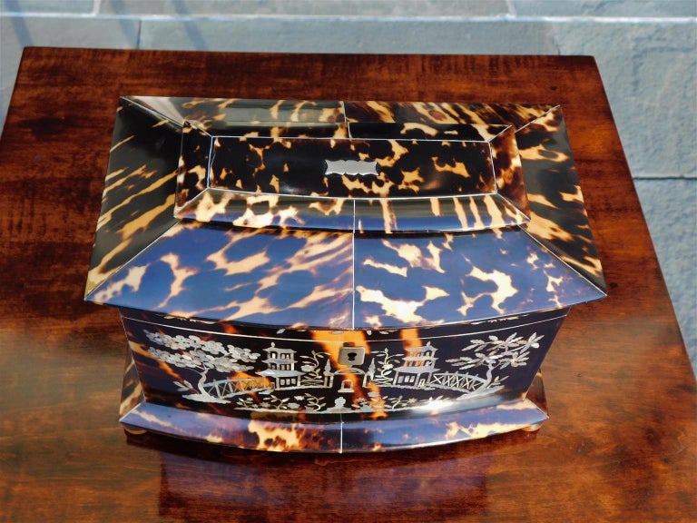 English Georgian Chinroserie Tortoise Shell Tea Caddy with Ball Feet, C ...