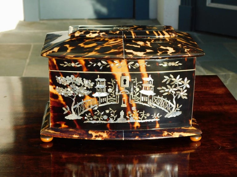 English Georgian Chinroserie Tortoise Shell Tea Caddy with Ball Feet, C ...