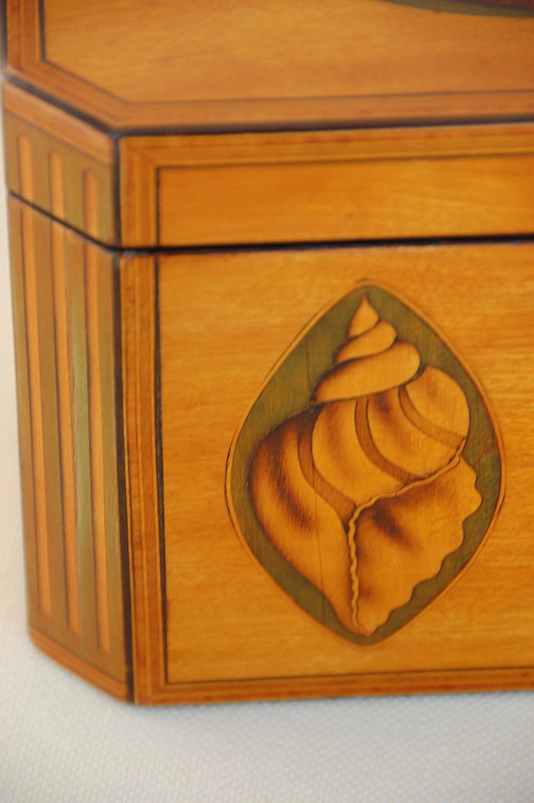 English Georgian Double Tea Caddy with Boxwood Shell and Column Inlays ...