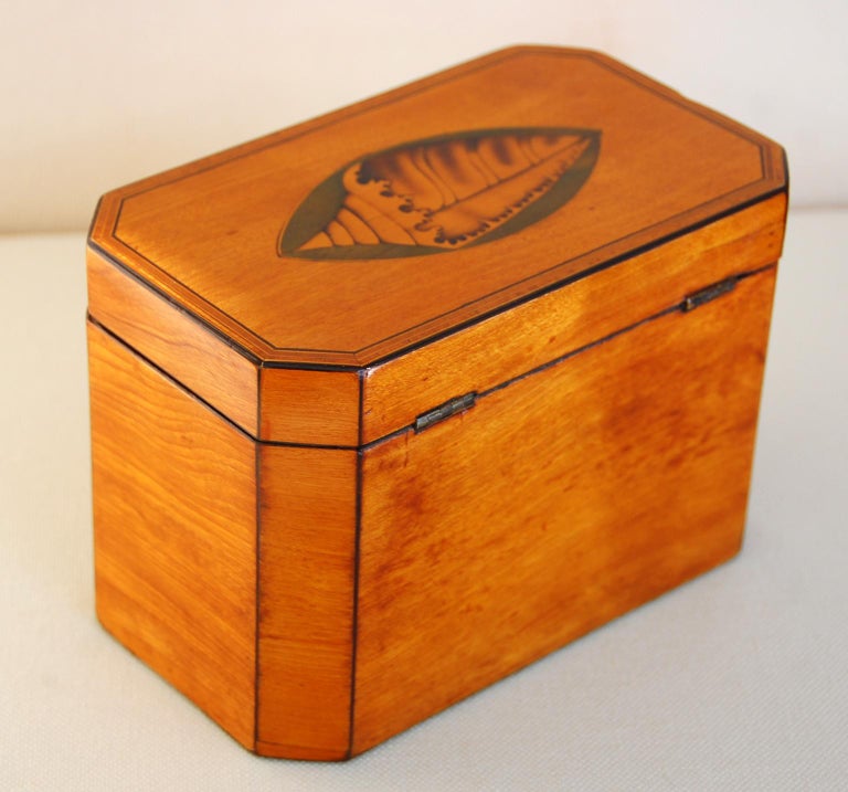 English Georgian Double Tea Caddy with Boxwood Shell and Column Inlays ...
