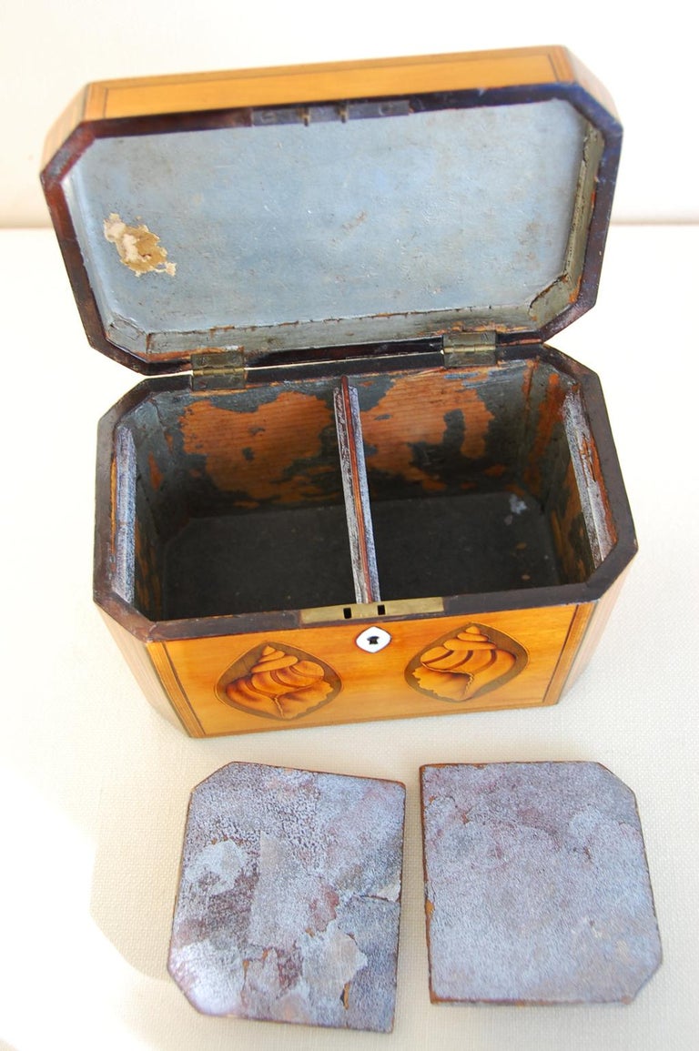 English Georgian Double Tea Caddy with Boxwood Shell and Column Inlays ...