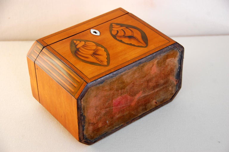 English Georgian Double Tea Caddy with Boxwood Shell and Column Inlays ...