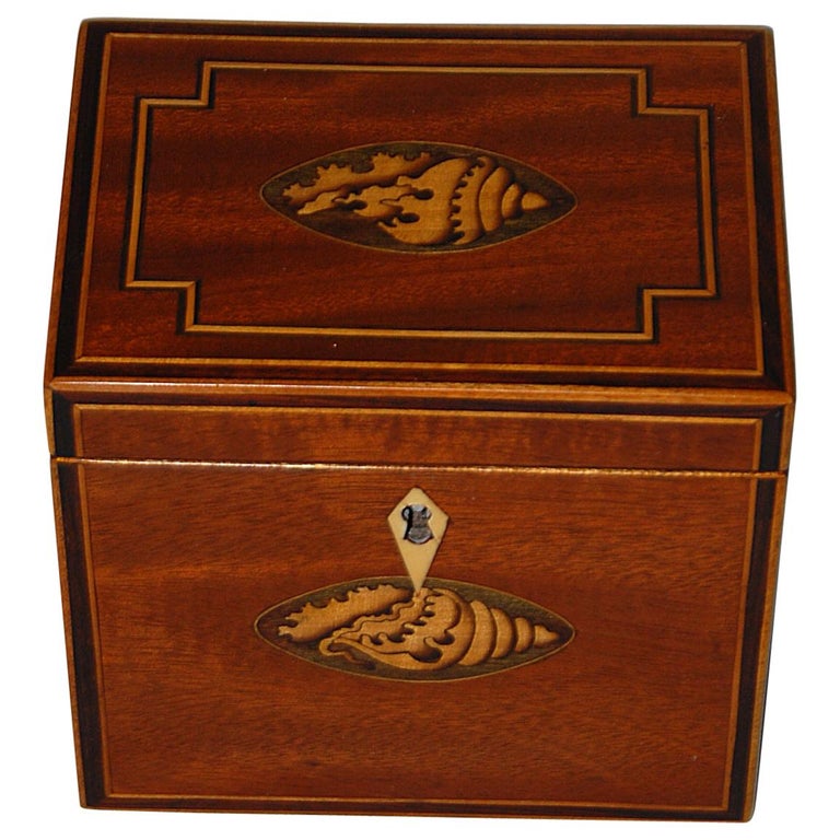 English Georgian Mahogany Single Tea Caddy Inlaid Shell Motifs to Top ...
