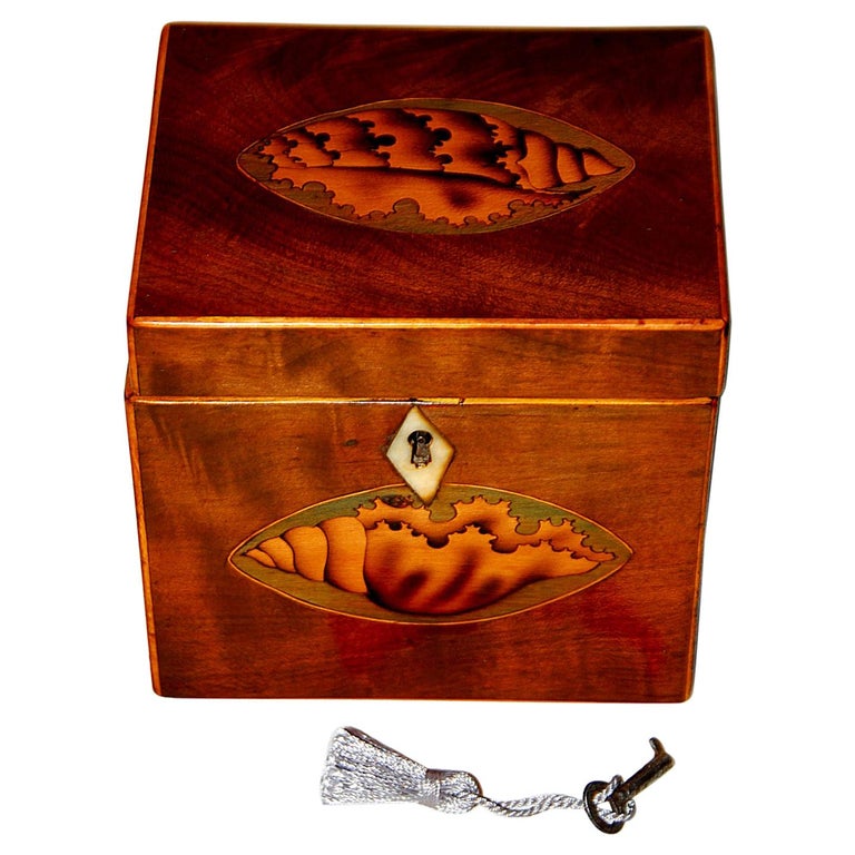 English Georgian Mahogany Single Tea Caddy Inlaid with Large Shell ...