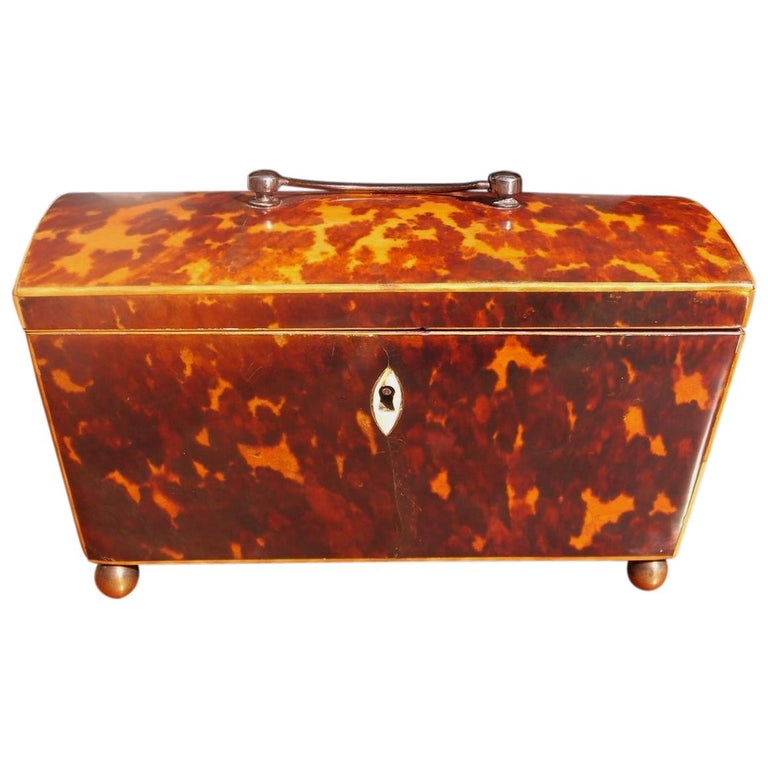 English Georgian Tortoise Shell Hinged Tea Caddy with Brass Ball Feet ...