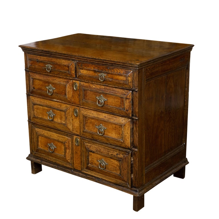 English King George III 1800s Oak Five Drawer Commode with Raised ...