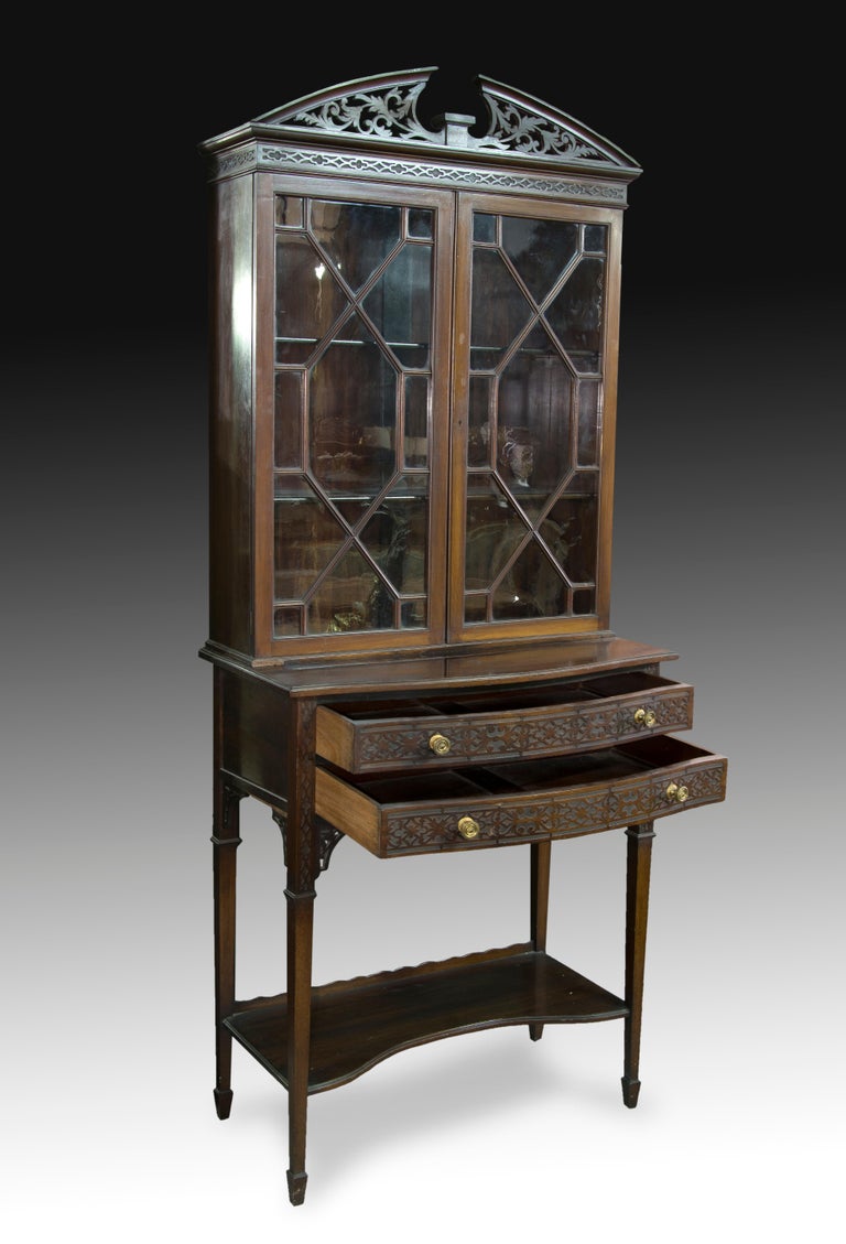 English Mahogany Showcase Cabinet, 19th Century For Sale at 1stDibs