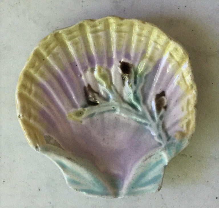 English Majolica Shell Butter Pat, circa 1880 For Sale at 1stDibs