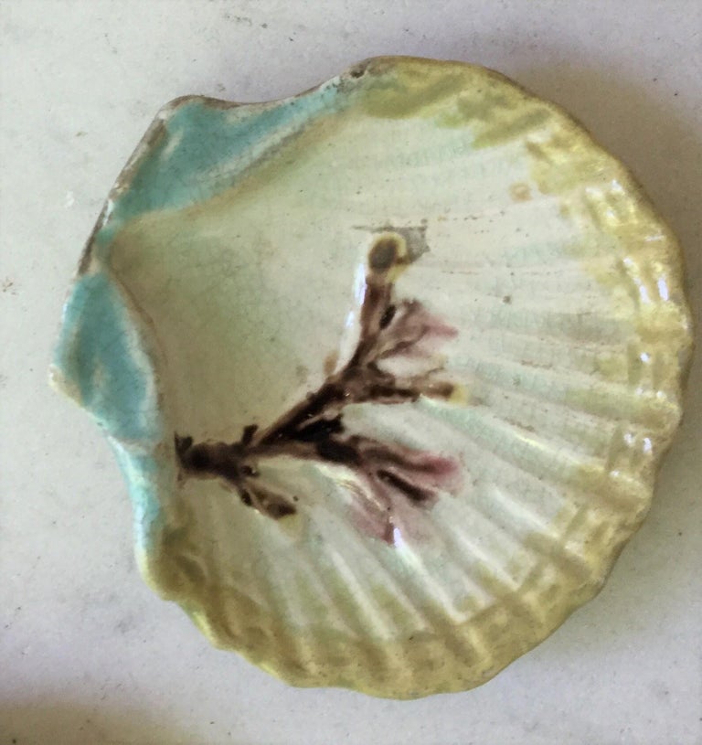 English Majolica Shell Butter Pat, circa 1880 For Sale at 1stDibs