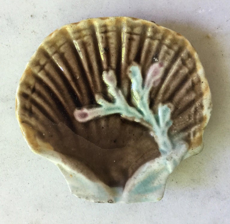 English Majolica Shell Butter Pat, circa 1880 For Sale at 1stDibs