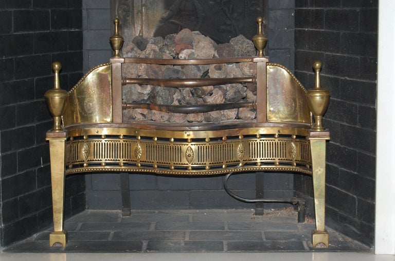 English Mid-19th Century Cast Iron and Brass Fireplace Insert For Sale ...