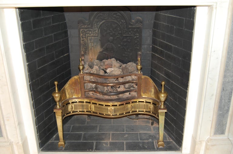 English Mid-19th Century Cast Iron and Brass Fireplace Insert For Sale ...