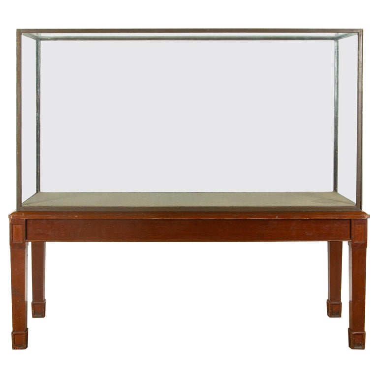 English Museum Display Cabinet on Stand at 1stDibs