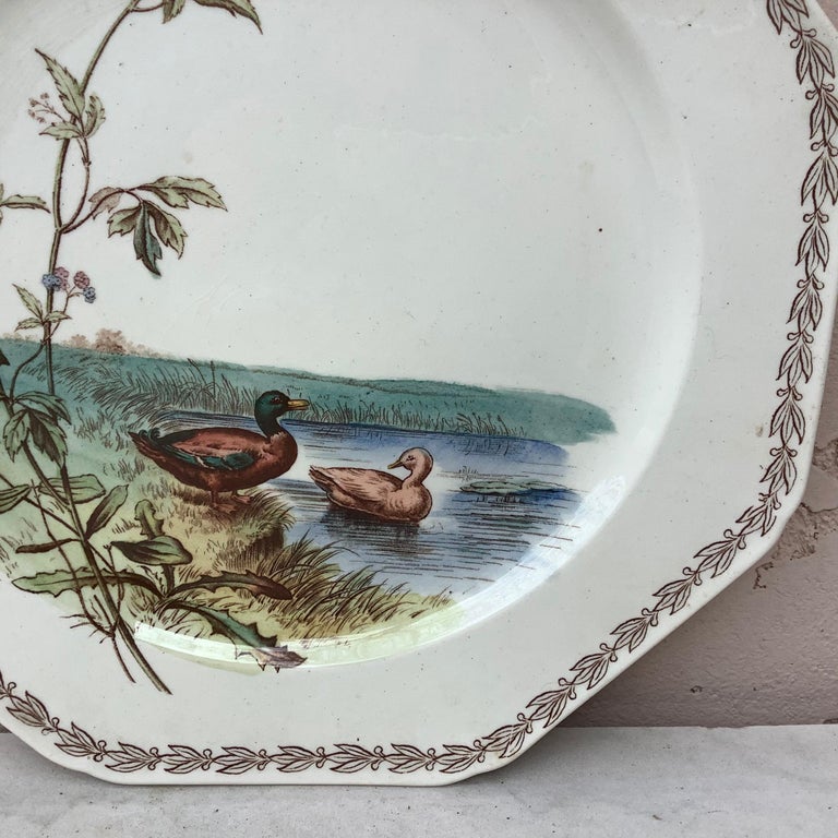 English Octagonal Plate Ducks on Lake Brown Westhead and Moore, circa ...