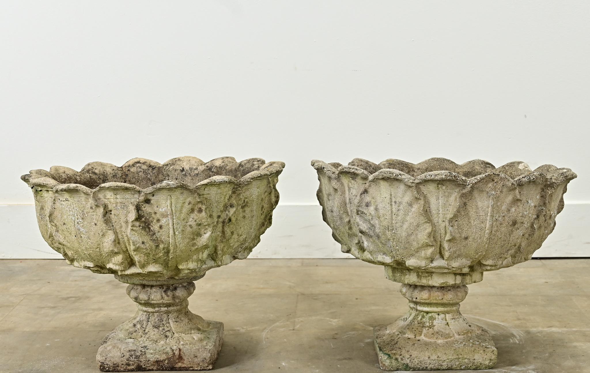 English Pair of 19th Century Cabbage Planters at 1stDibs