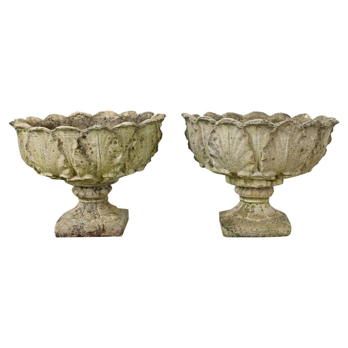 English Pair of 19th Century Cabbage Planters at 1stDibs