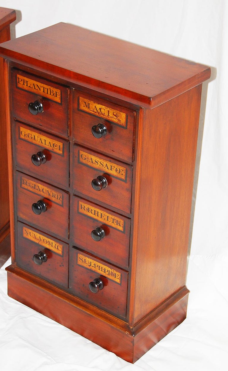 English Pair of Victorian Period Small Apothecary Cabinets of Eight ...