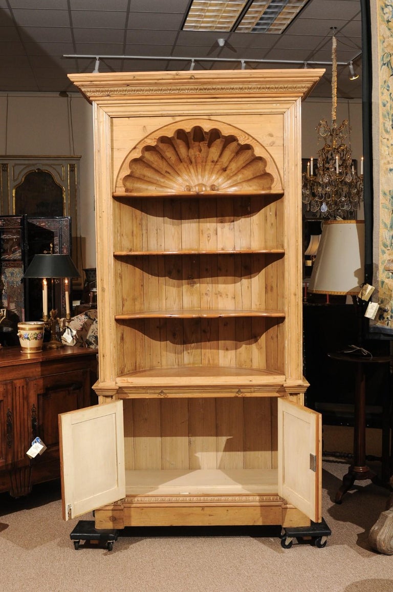 English Pine Bookcase with Shell Carving at 1stDibs