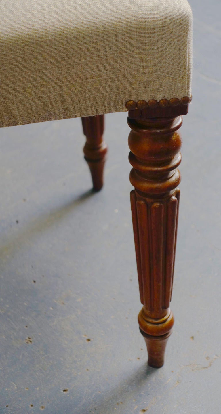 English Regency Bench, circa 1820 at 1stDibs