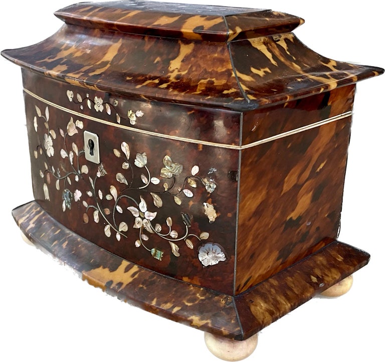 English Regency Inlaid Shell Double Tea Caddy, 19th Century For Sale at ...