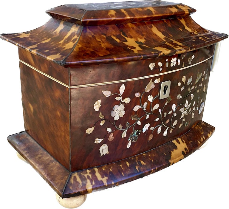 English Regency Inlaid Shell Double Tea Caddy, 19th Century For Sale at ...