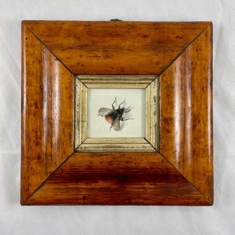 English Regency Period Original Watercolor Fruitwood Frame, a Bumble ...