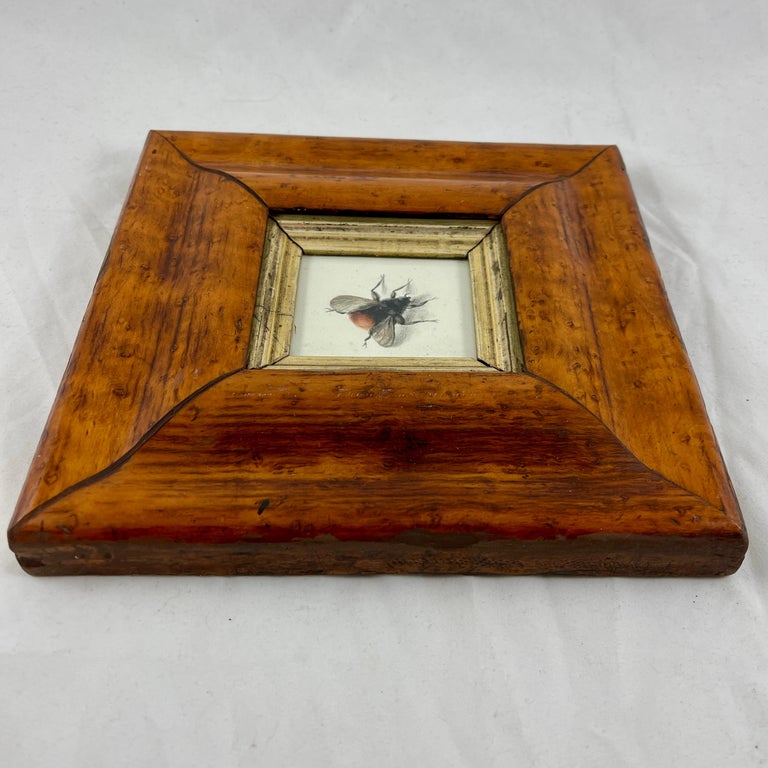 English Regency Period Original Watercolor Fruitwood Frame, a Bumble ...