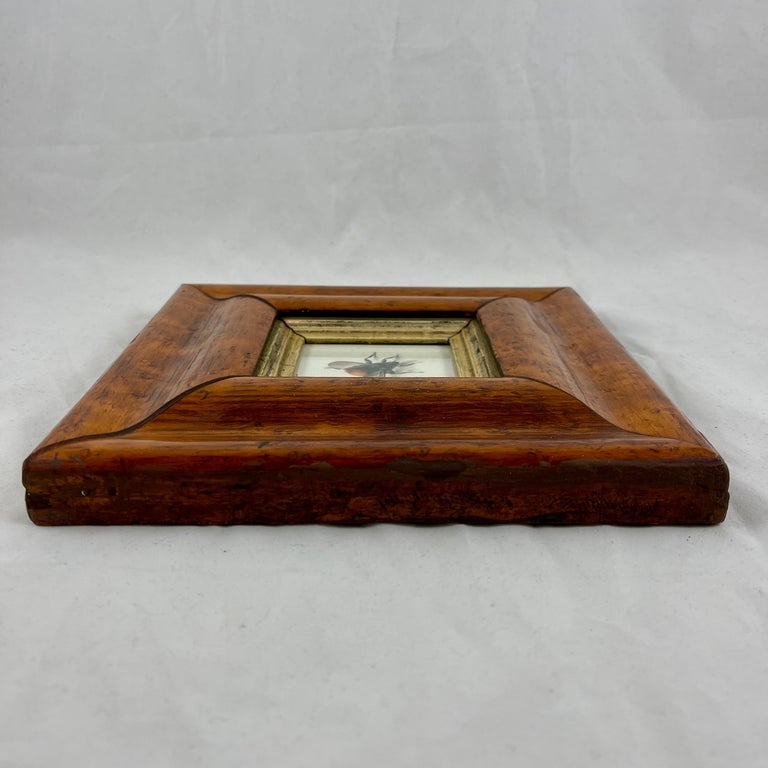 English Regency Period Original Watercolor Fruitwood Frame, a Bumble ...