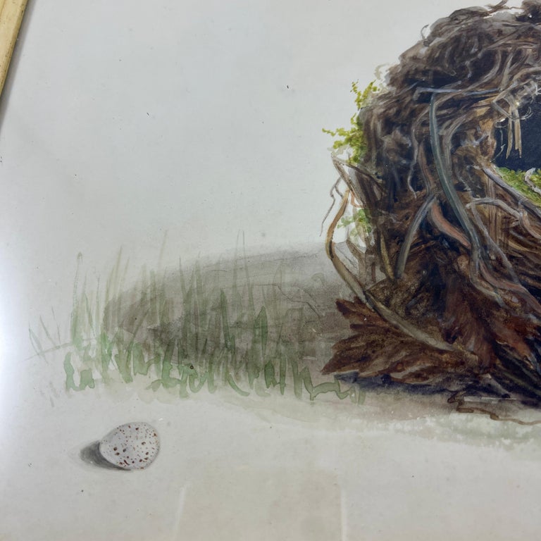 English Regency Period Original Watercolor Fruitwood Frame, a Willow ...